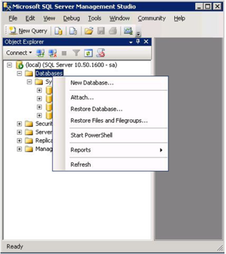 Configuring Microsoft SQL Server