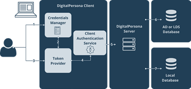 Workflows | DigitalPersona AD | HID Global
