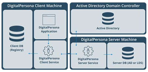 Solution Architecture | DigitalPersona LDS | HID Global